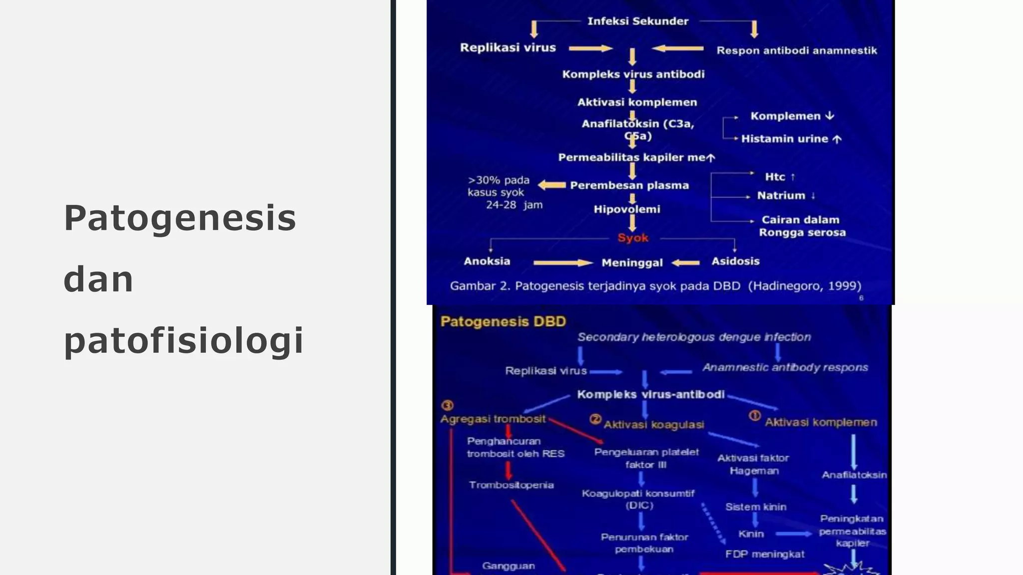 Tatalaksana DBD.pptx