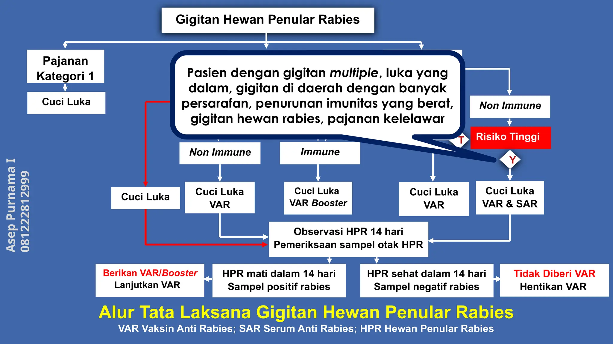 tatalaksana gigitan hewan penular rabies | PPTX
