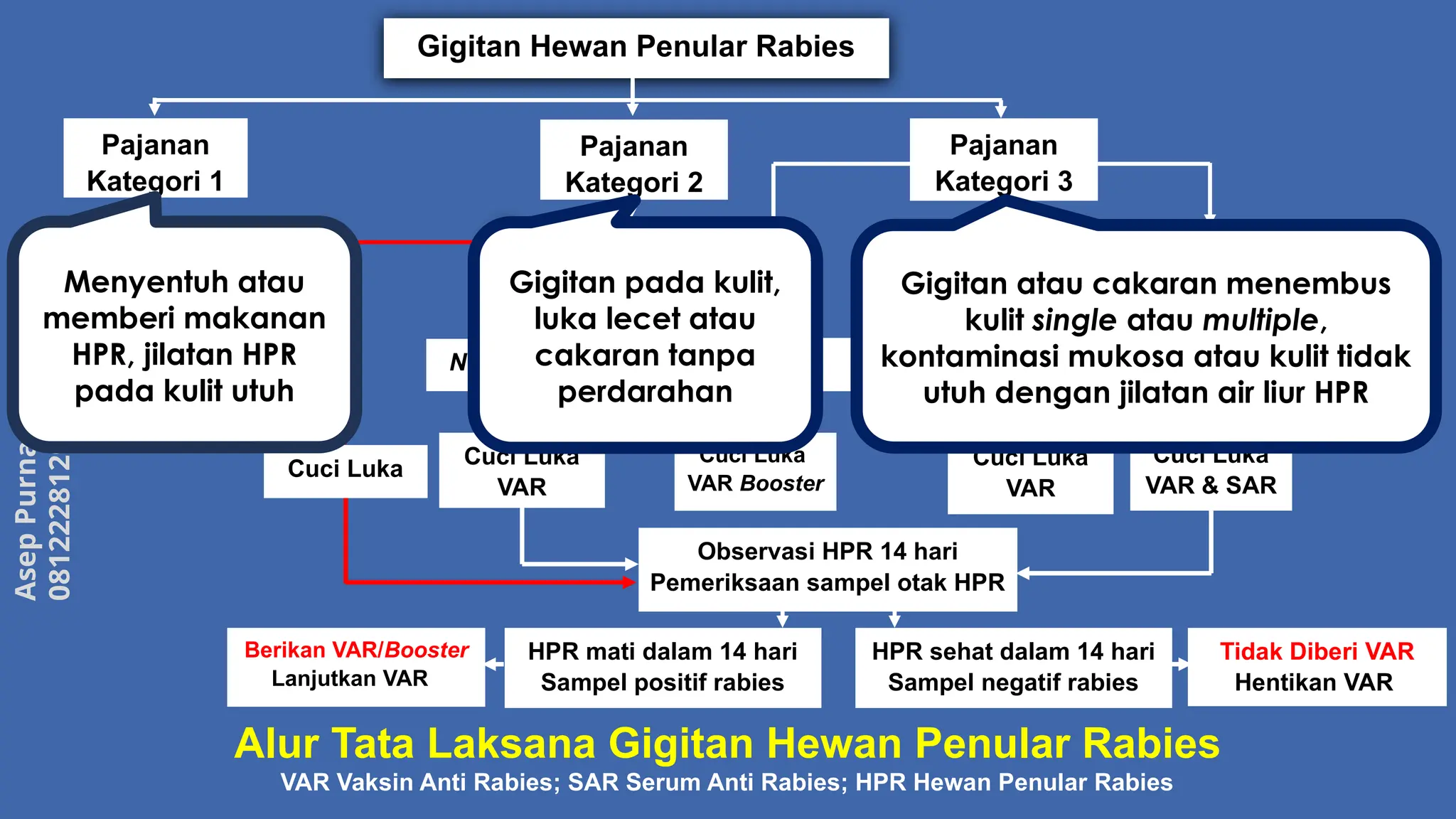 PenatalaksanaanLaksana Kasus Gigitan GHPR .pptx