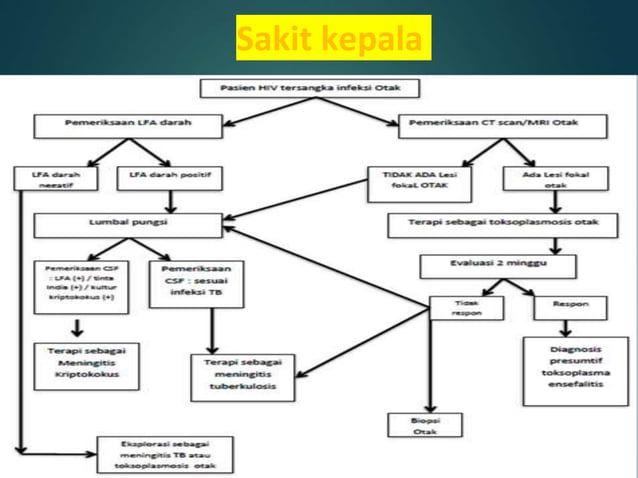 Tatalaksana Infeksi Oportunistik | PPTX