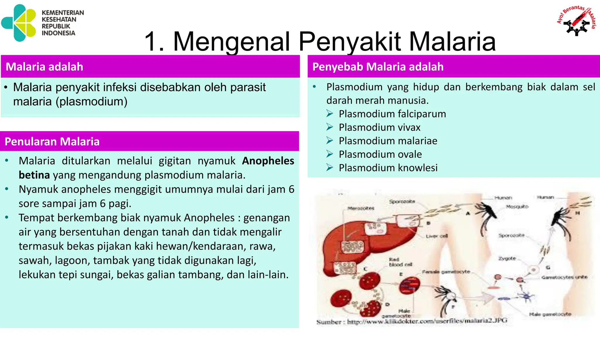 STRATERGI PENANGGULANGAN DAN TATALAKSANA MALARIA DARI KEMENKES | PDF