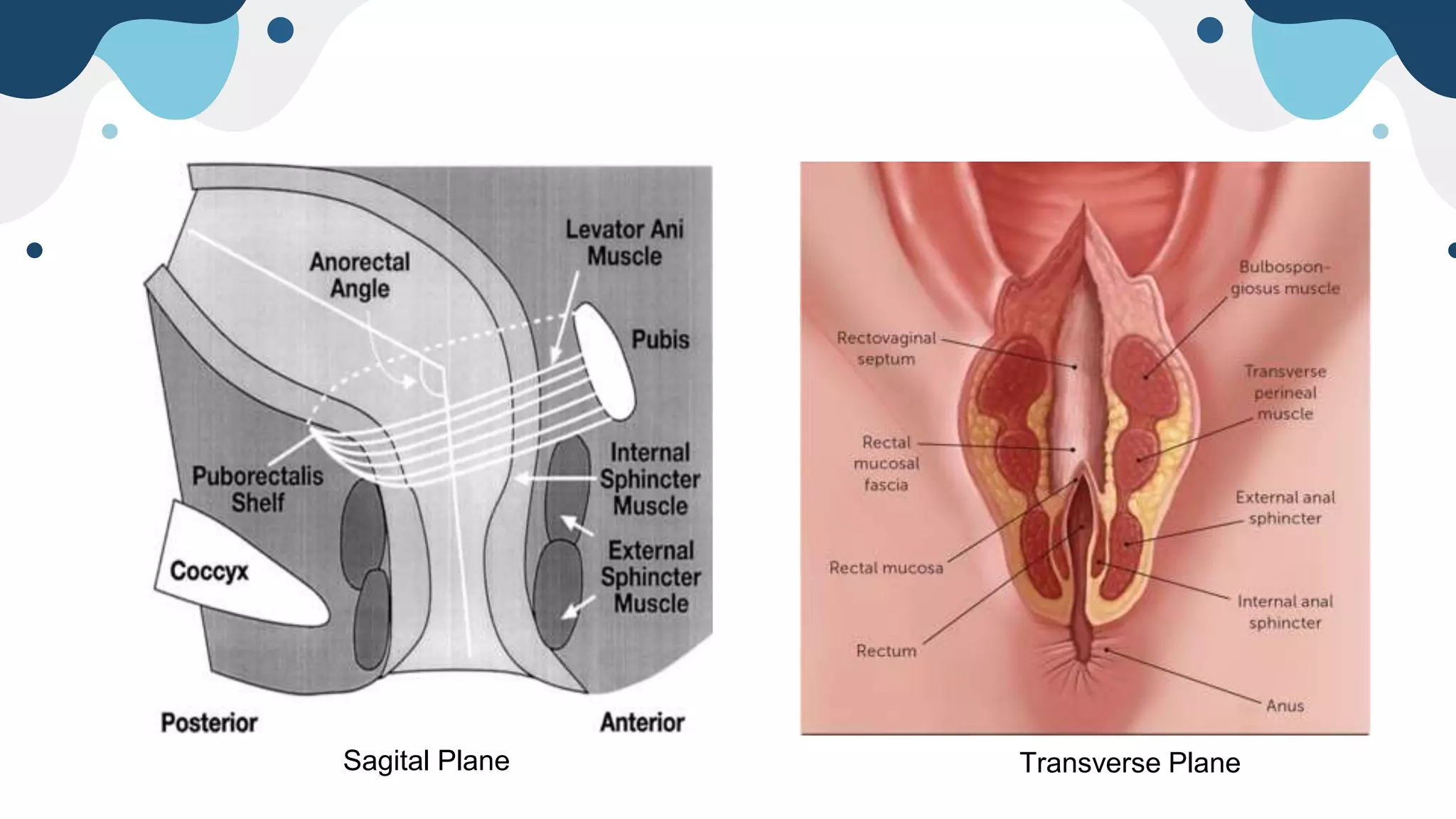 Tatalaksana OASIS.pptx