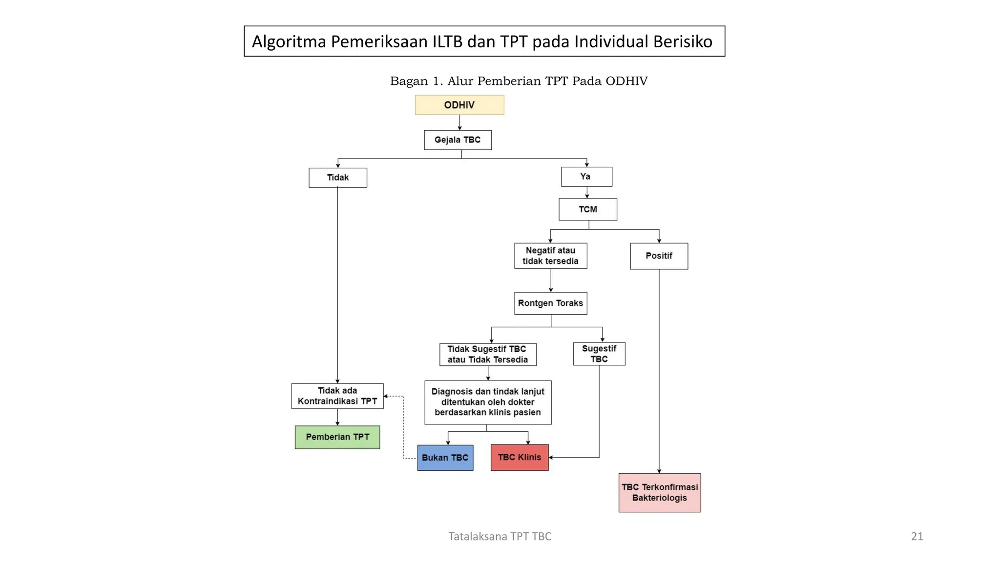 Tatalaksana Pemberian Terapi Pencegahan TPT TB. Pdf | PDF