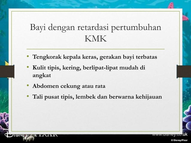 Tata Laksana Perawatan Bayi Berat Badan Lahir Rendah (BBLR).pptx