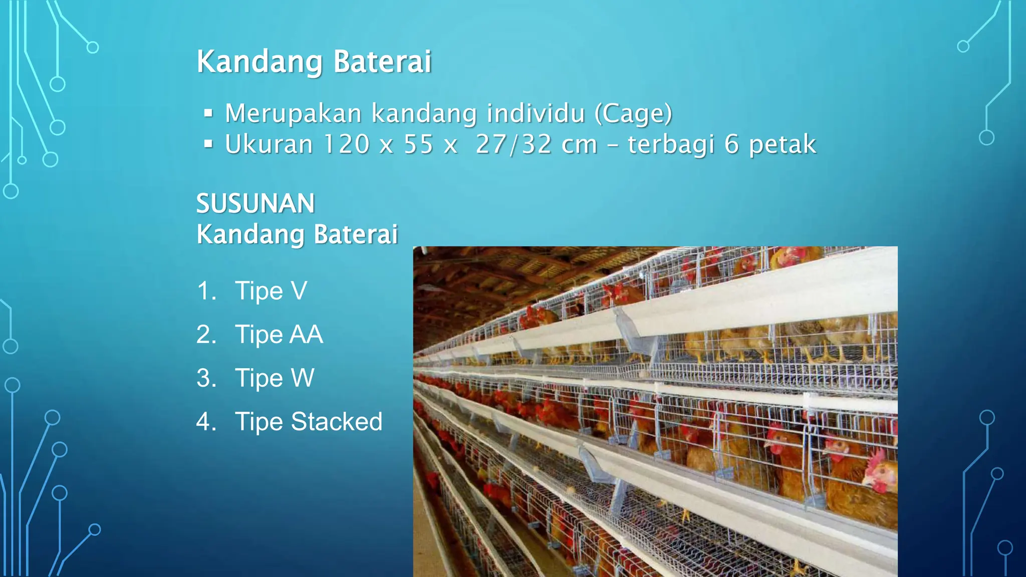 Materi Tatalaksana Perkandangan Ternak Unggas Petelur | PPTX