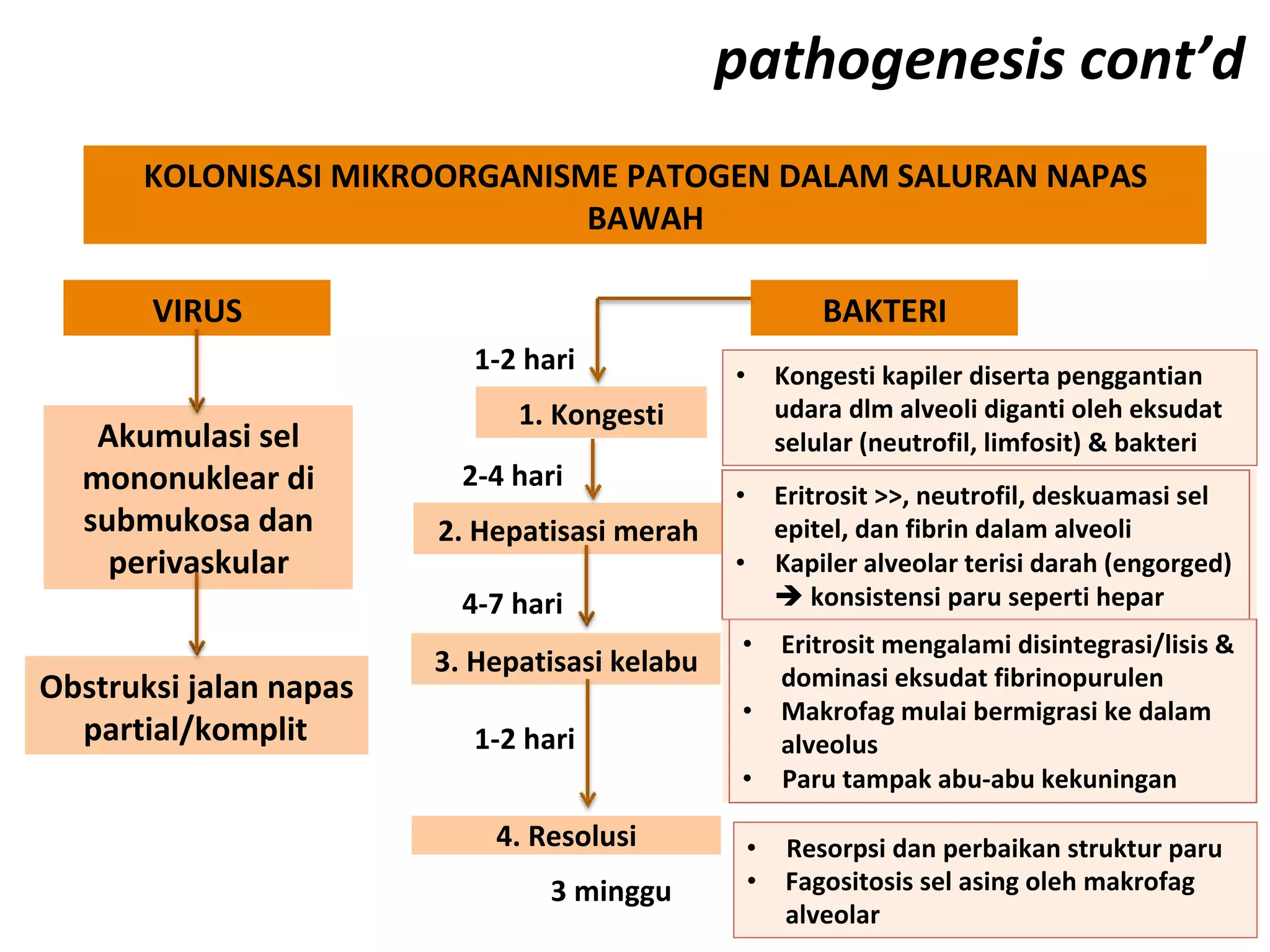 TATALAKSANA PNEUMONIA ANAK (EFIR).docx