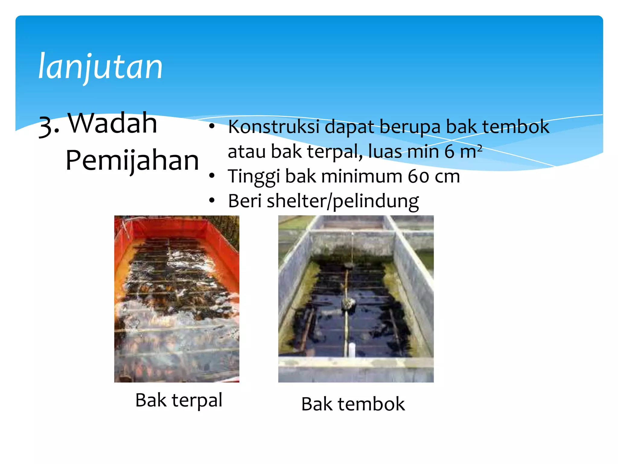 Tata letak dan konstruksi wadah budidaya ikan | PPTX