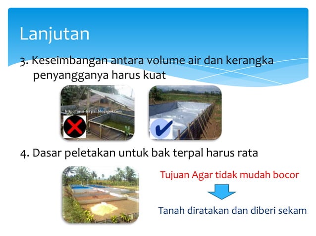 Tata letak dan konstruksi wadah budidaya ikan | PPTX
