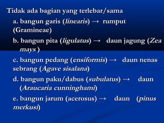 Morfologi Tumbuhan | PPT
