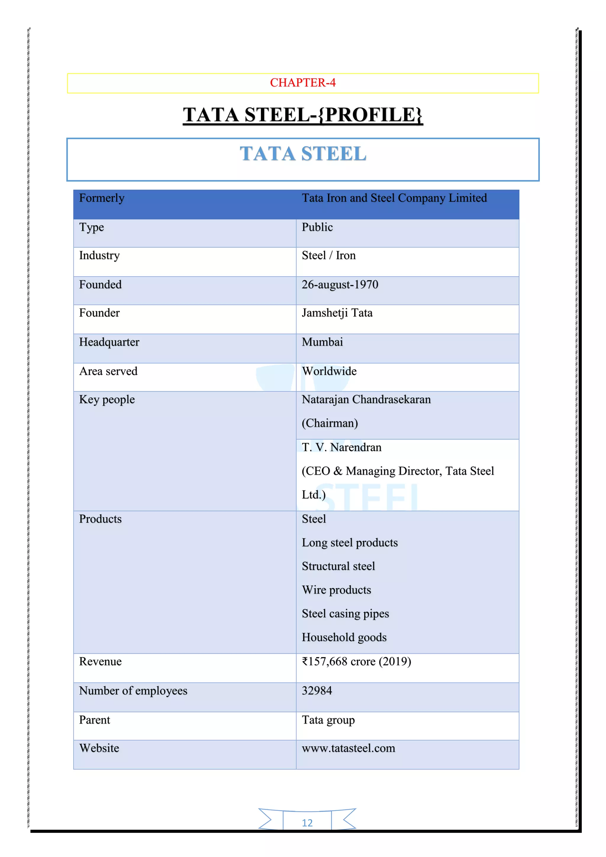 Tata steel report | PDF