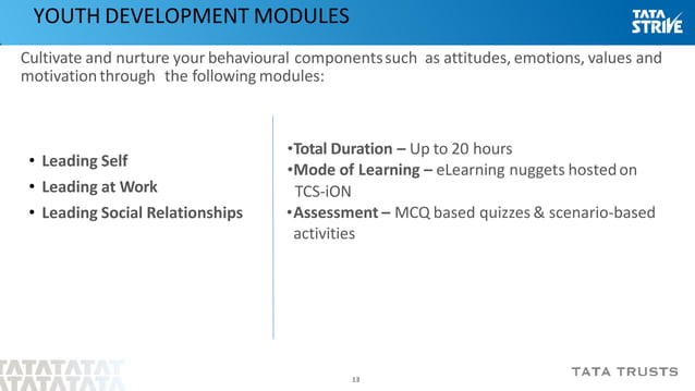 TATA STRIVE PRESENTATION .pdf | Web Development | Internet