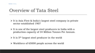 Tata Tiscon ppt - 20223081.pptx