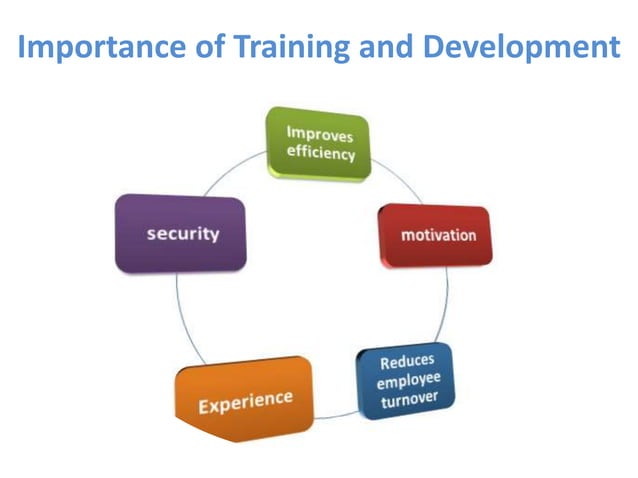 Training and development programme by TATA Group