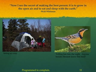 Tate final goose camp | PPT