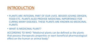 tathagata.pptx uses of medicinal plants ppt presentation | PPT