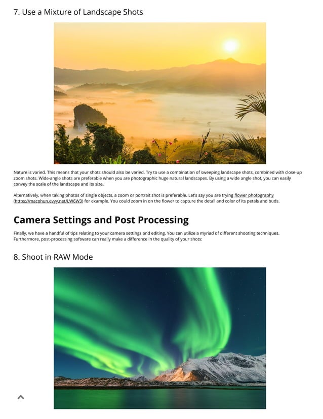 NATURE PHOTOGRAPHY TIPS | PDF