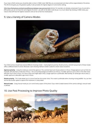 NATURE PHOTOGRAPHY TIPS | PDF
