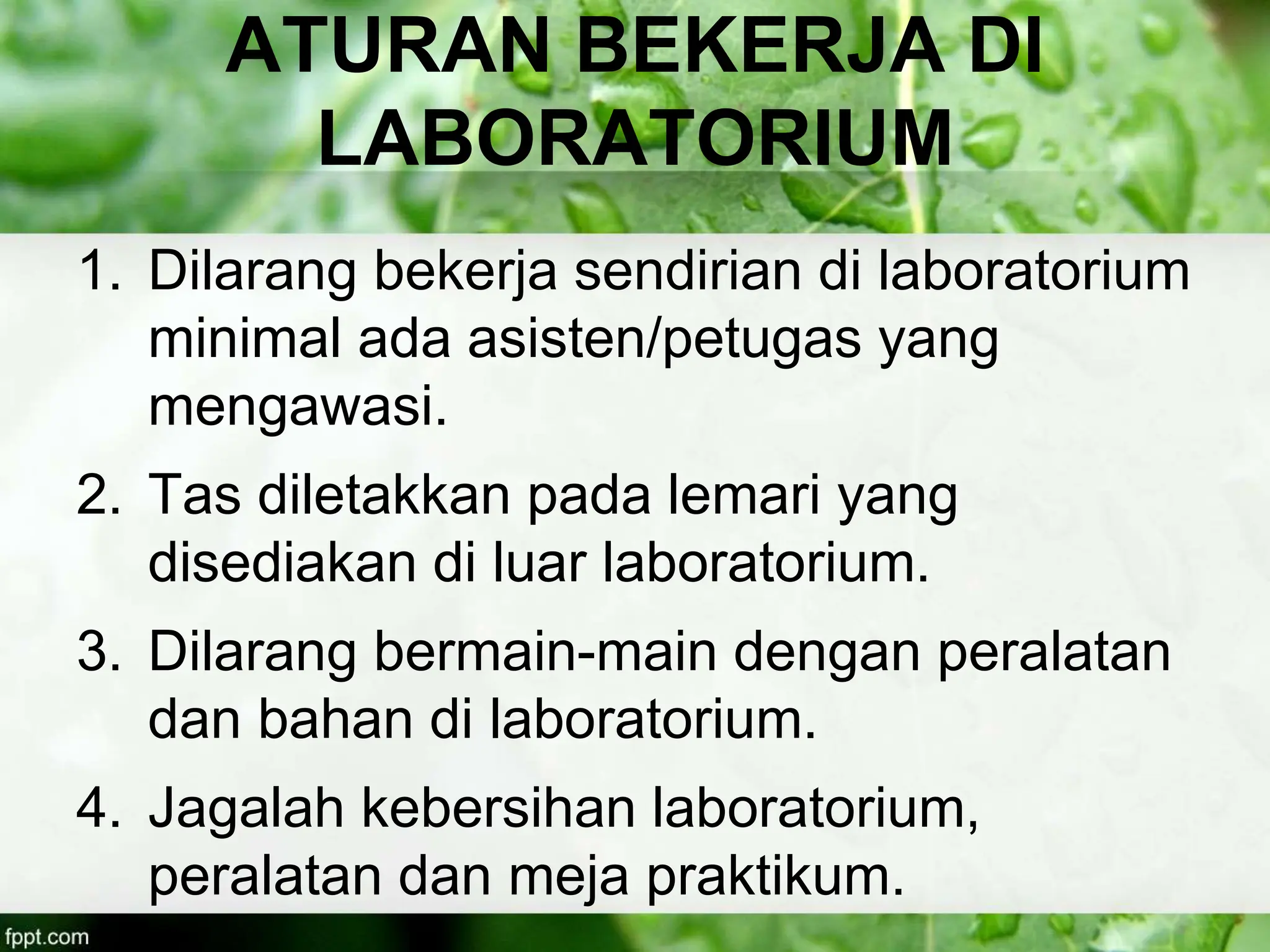 Tatertib Dasar Laboratorium Dasar Biologi.ppt