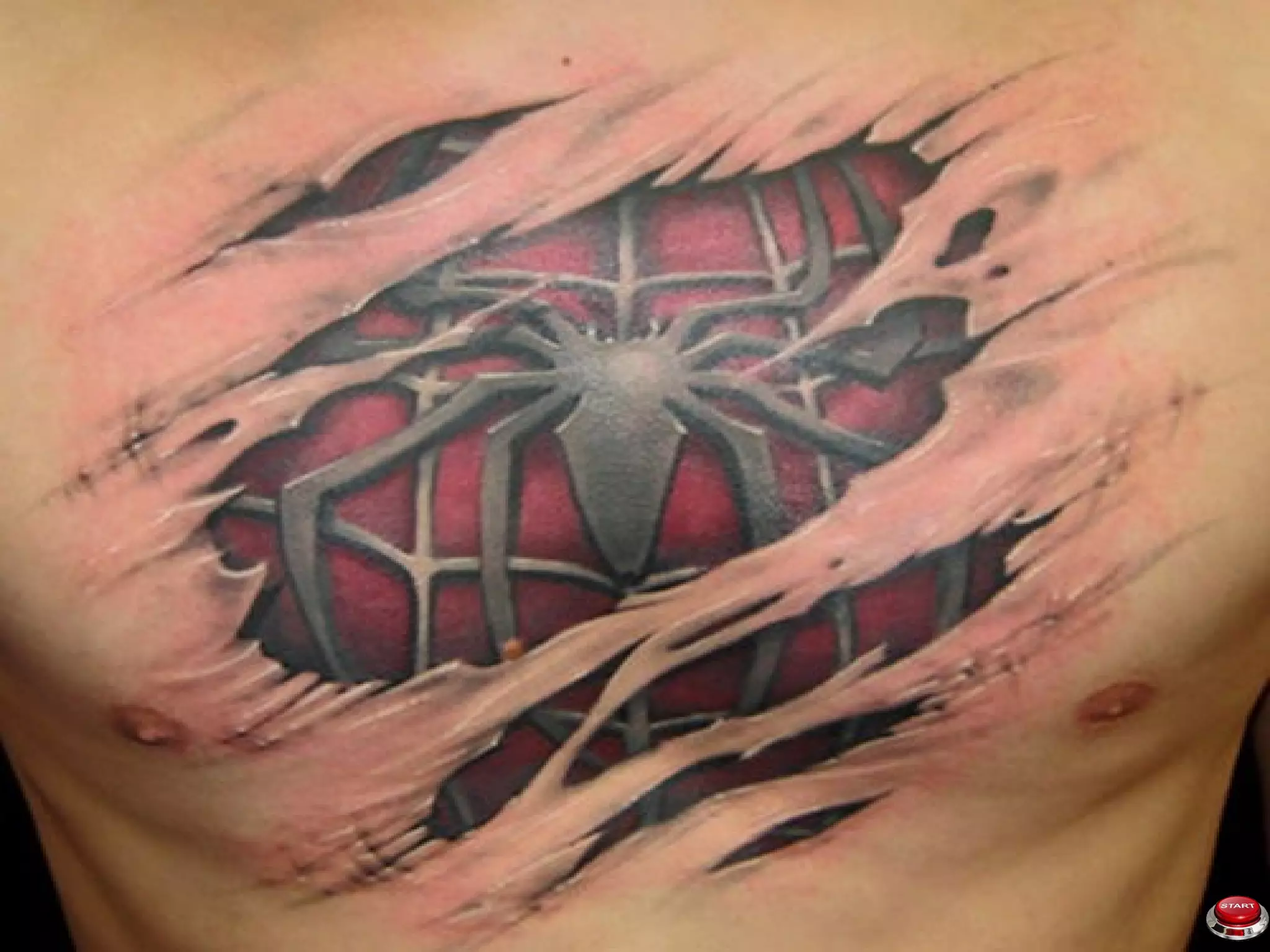 Tattoo designs The most realistic 3 d tattoo pictures gallery | PPS