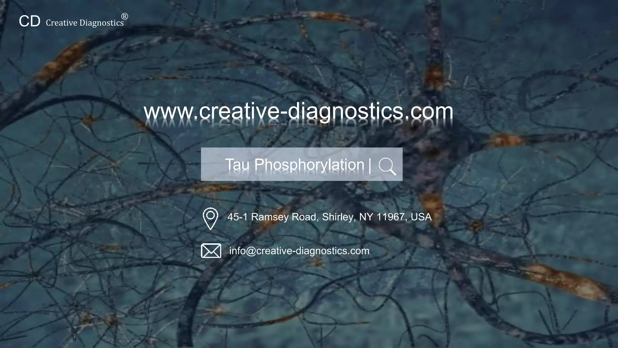 Tau phosphorylation - Creative Diagnostics | PPTX