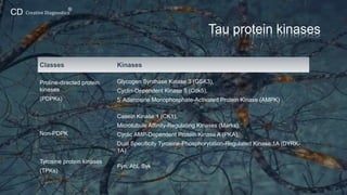 Tau phosphorylation - Creative Diagnostics | PPTX