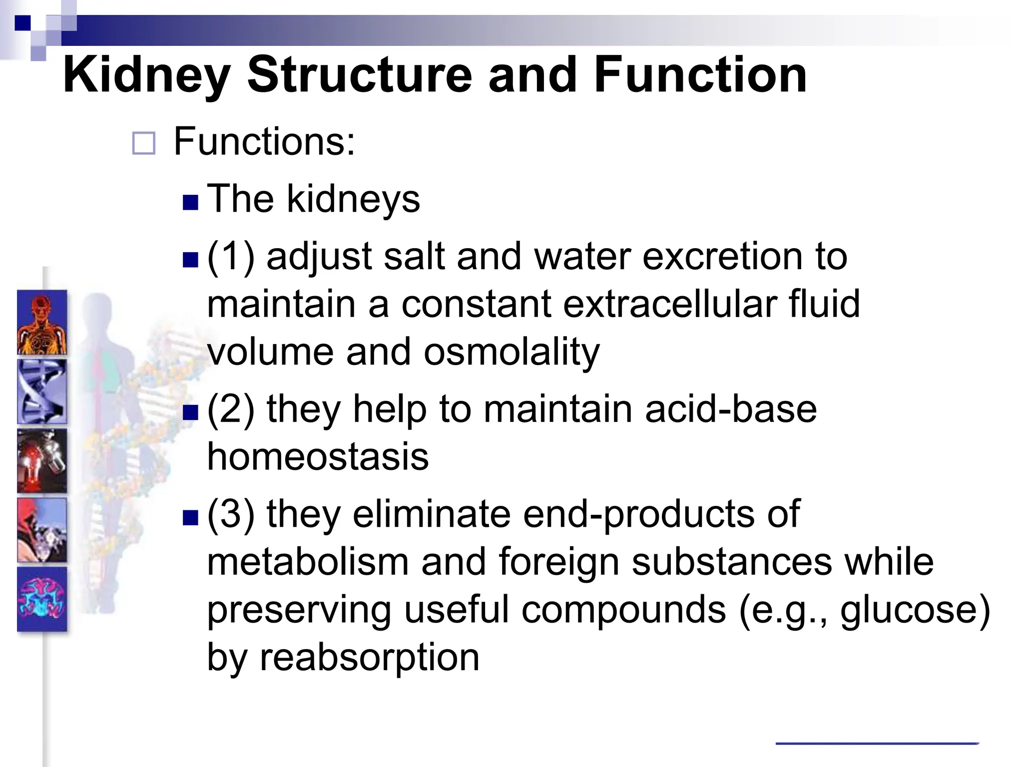 Renal and gastrointestinal Physiology.pptx