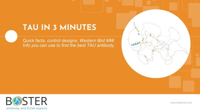 Learn Tau in 3 minutes | Microtubule-associated protein tau (MAPT) | PPTX