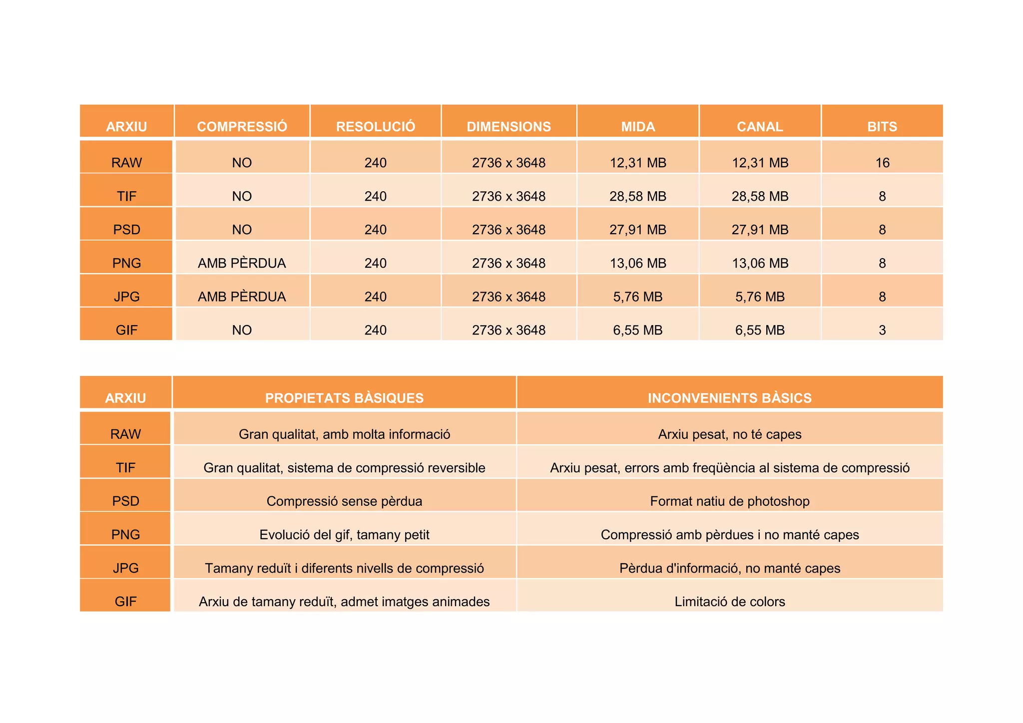 Formats d'Imatge | PDF