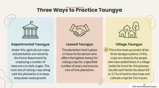 Taungya Farming and Forestry\ STEPS OF TAUNGYA CYCLE | PPTX