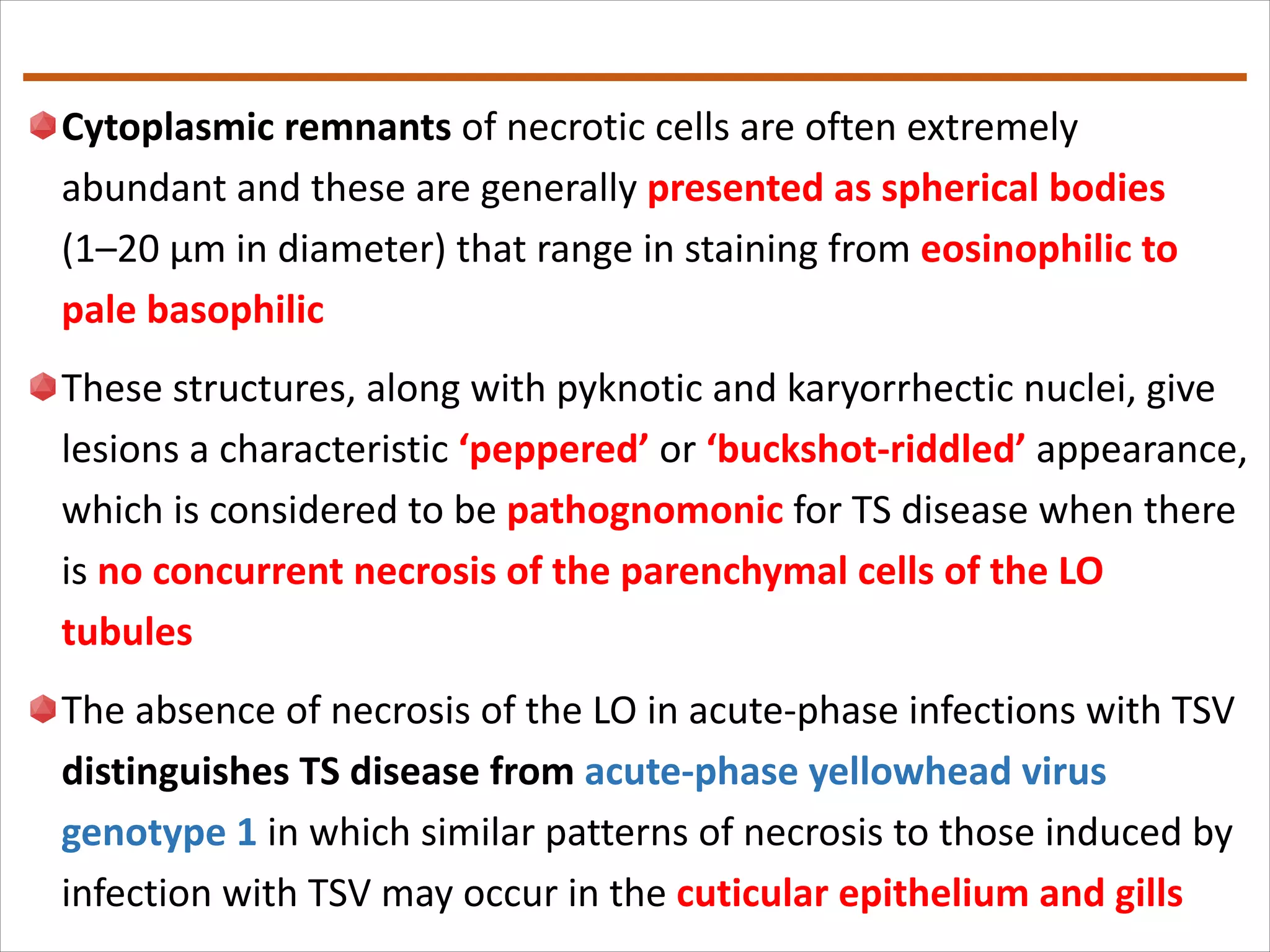 Taura syndrome virus (TSV) | PDF