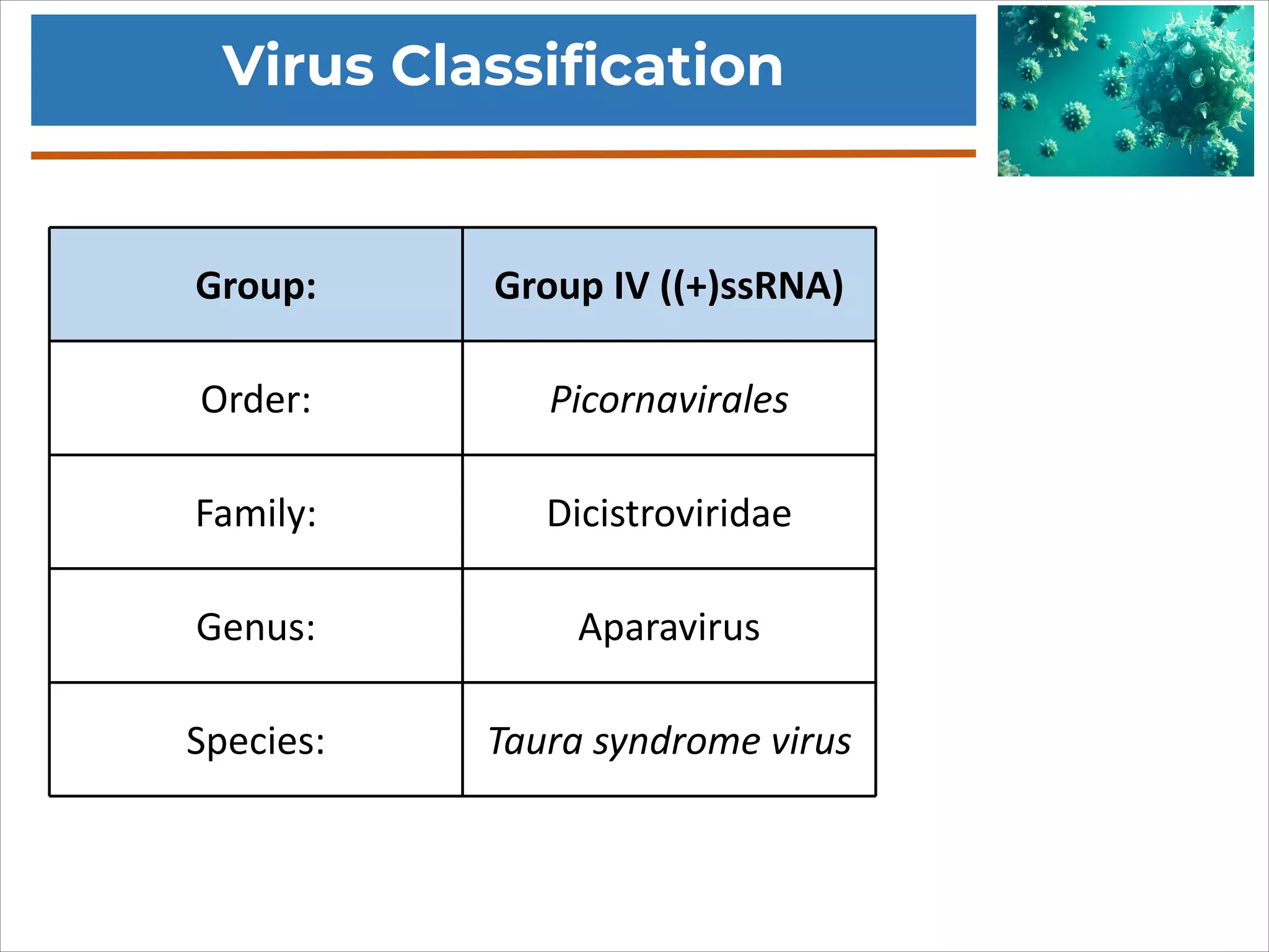 Taura syndrome virus (TSV) | PDF