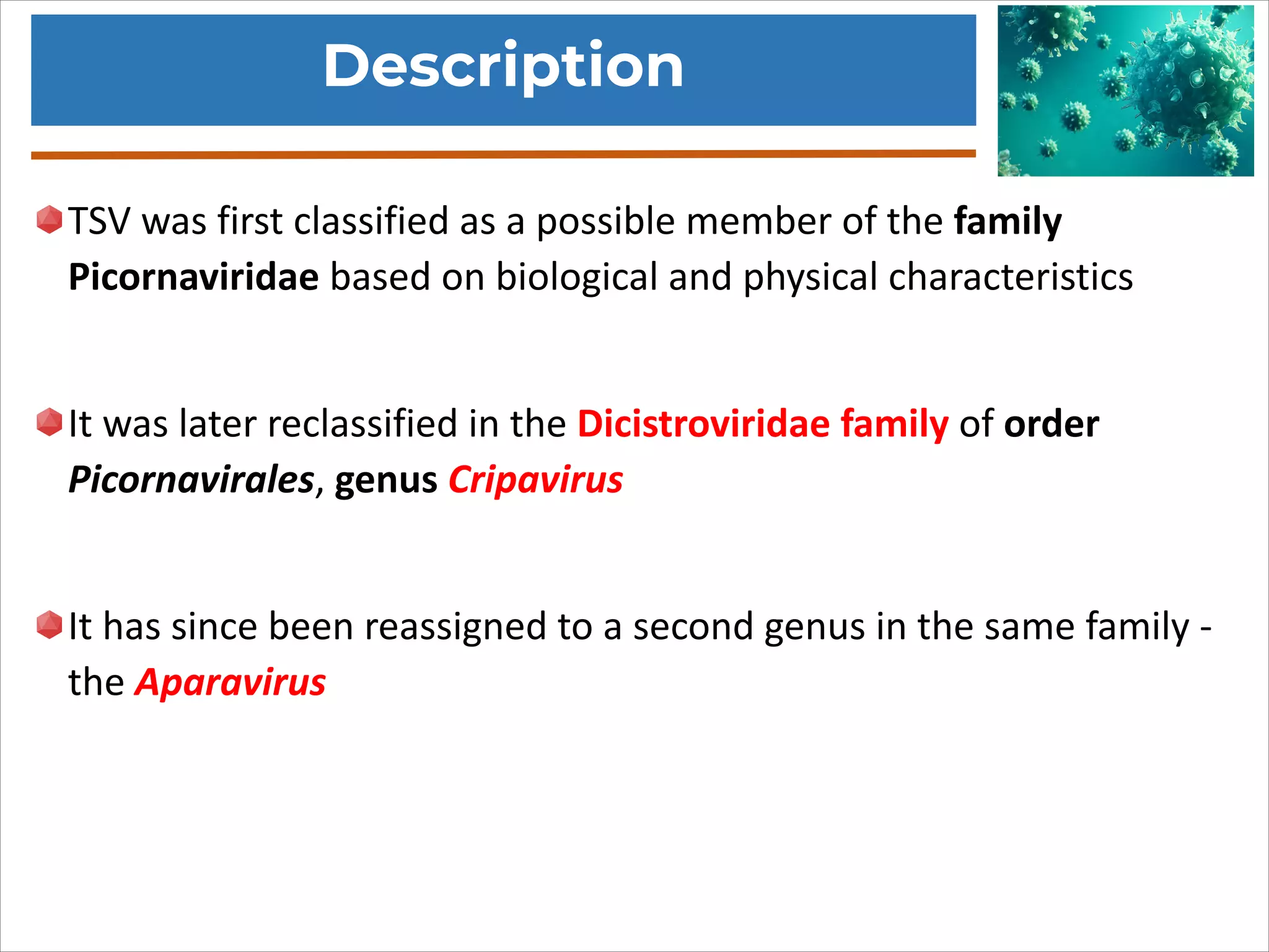 Taura syndrome virus (TSV) | PDF