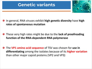 Taura syndrome virus (TSV) | PDF