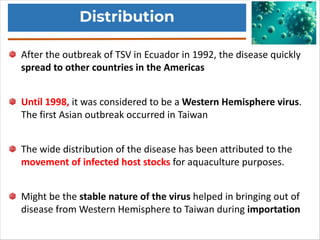 Taura syndrome virus (TSV) | PDF