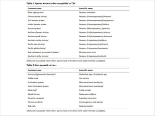 Taura syndrome virus (TSV) | PDF