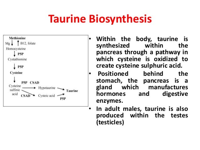 Taurine