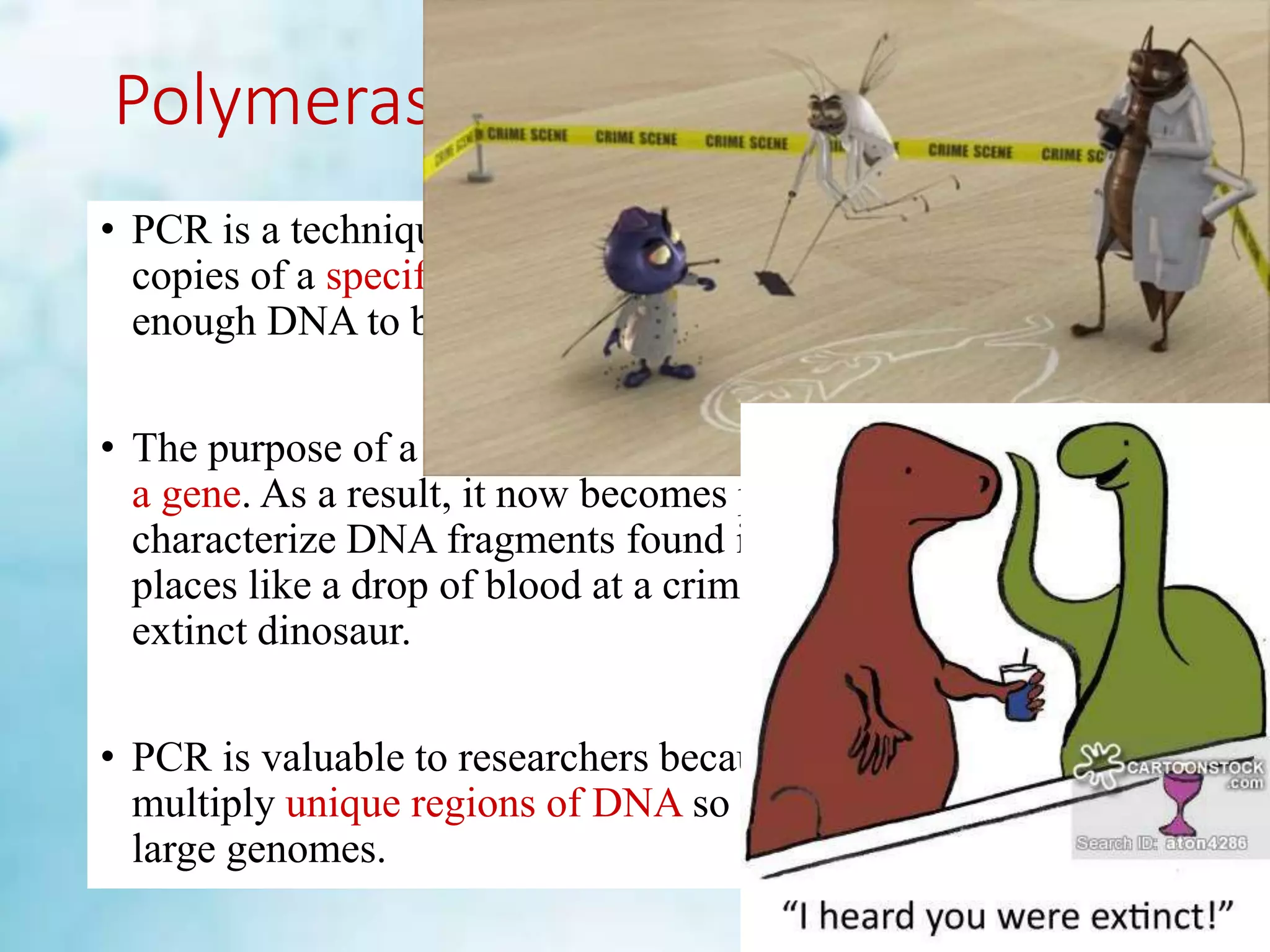Polymerase Chain Reaction,RT-PCR and FISH | PPTX | Biological Sciences ...