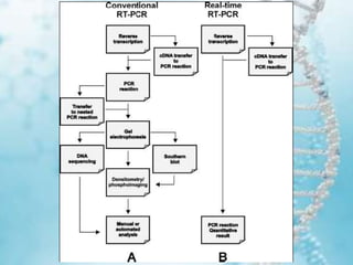 Polymerase Chain Reaction Flow Chart