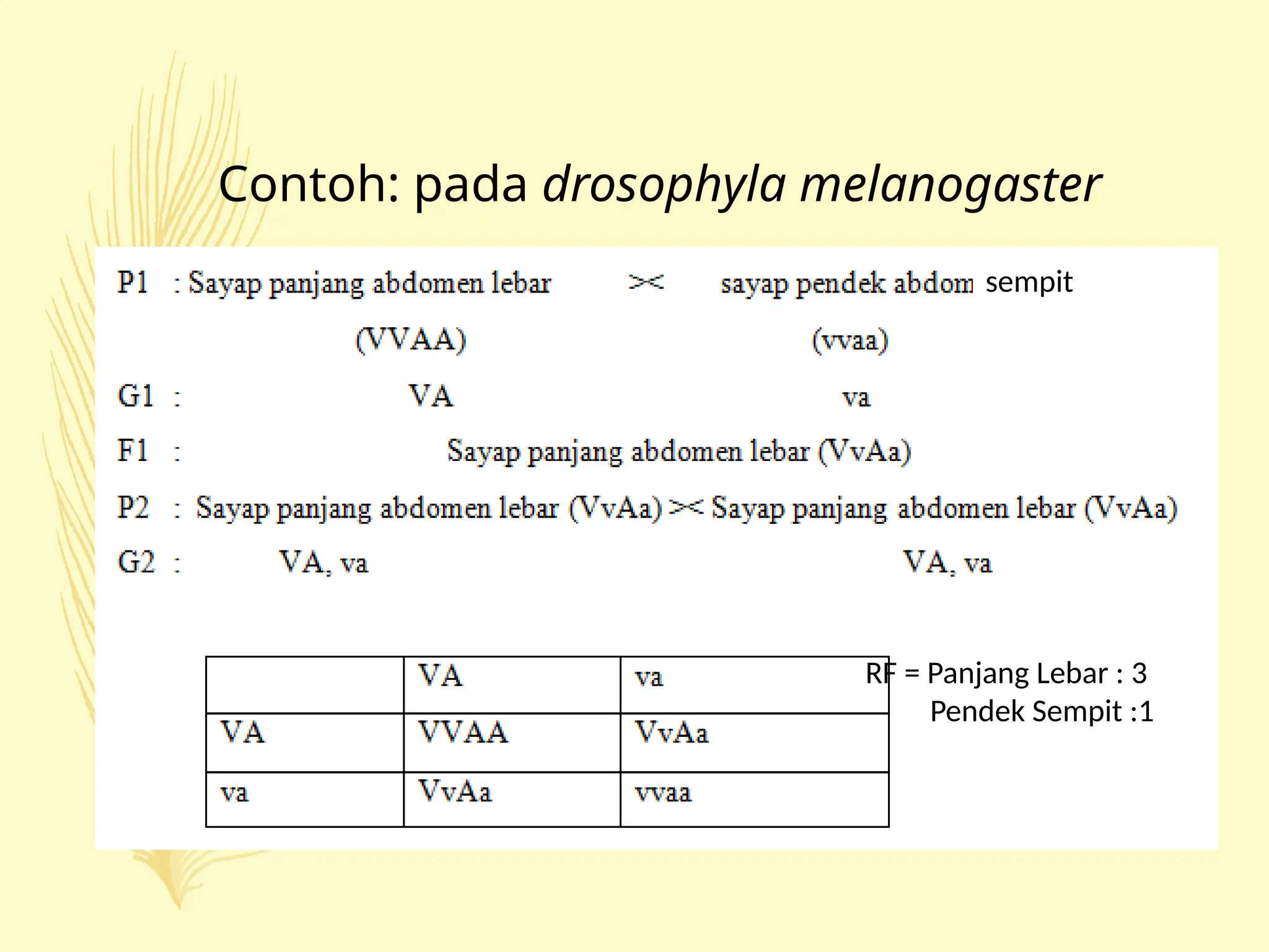 tautan gen-Tautan gen (atau linkage dalam bahasa Inggris).pptx