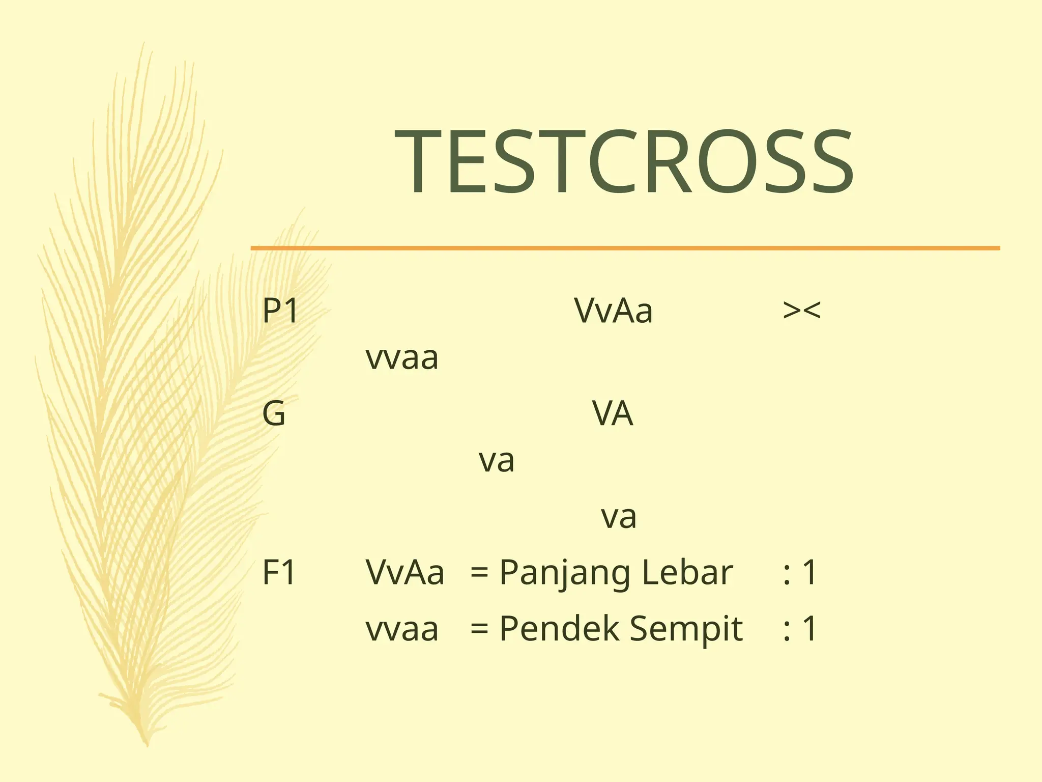 tautan gen-Tautan gen (atau linkage dalam bahasa Inggris).pptx