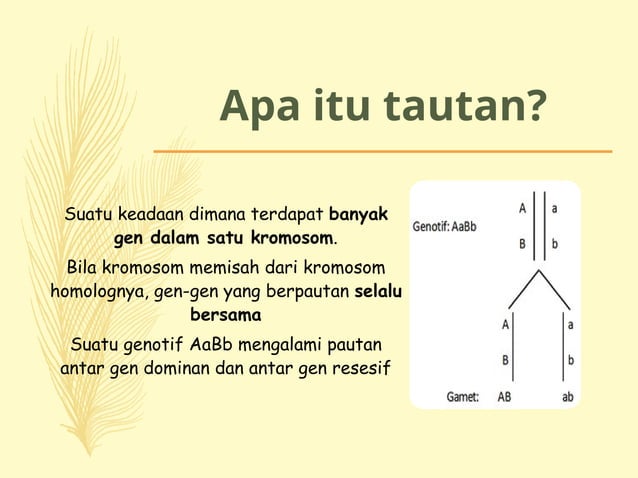 tautan gen-Tautan gen (atau linkage dalam bahasa Inggris).pptx