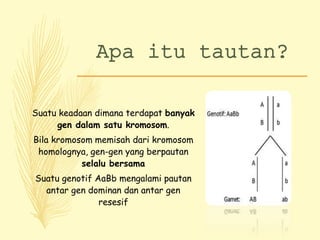 Tautan gen | PPTX