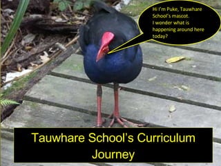 Tauwhare School Curriculum Journey | PPT | Primary Education | Education