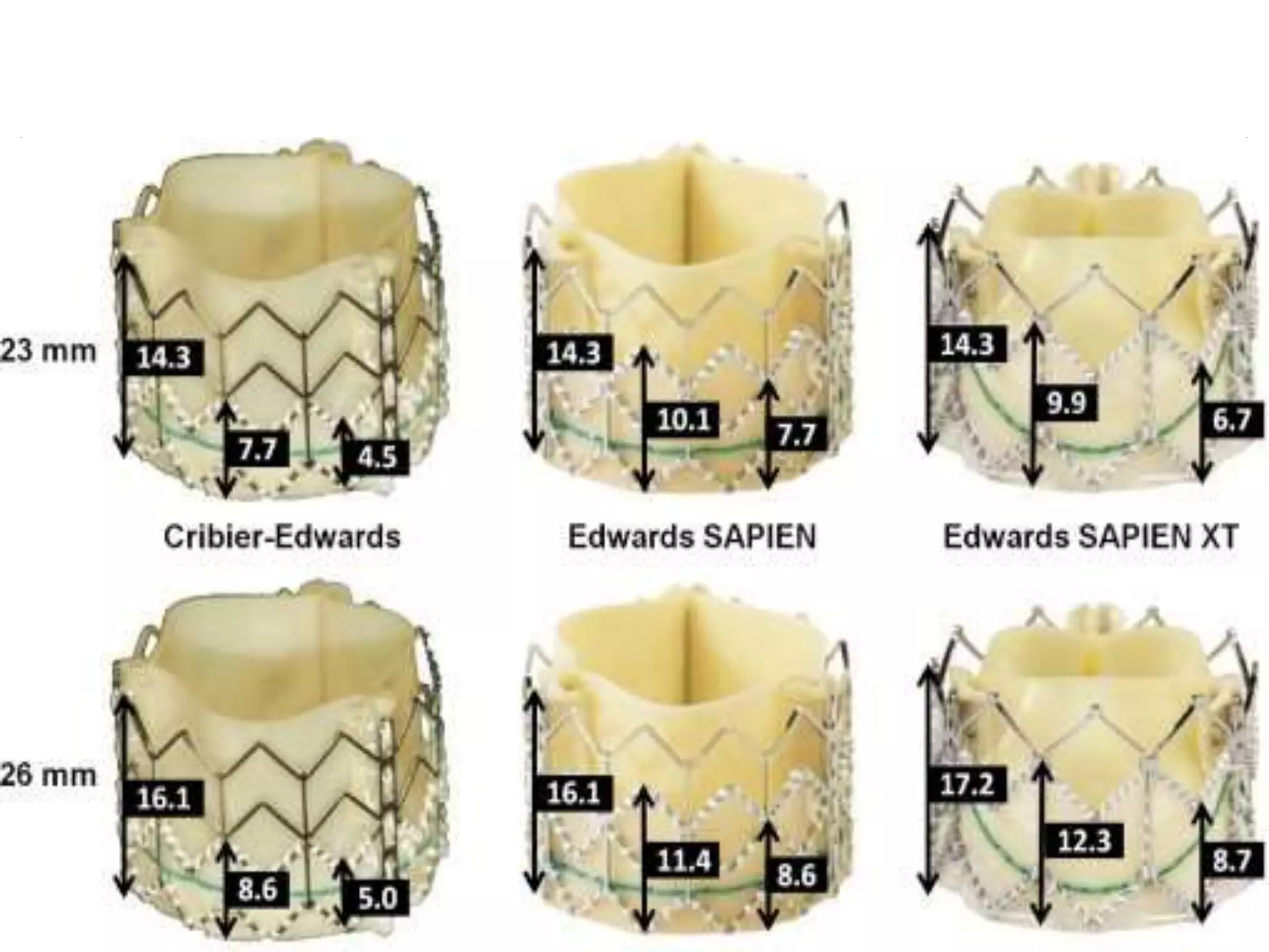 TAVI | PPTX | Heart and Cardiovascular Diseases | Diseases and Conditions