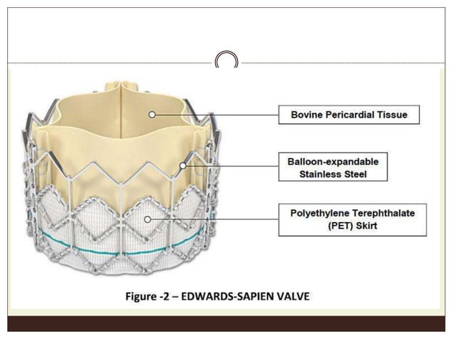 TAVI | PPTX | Heart and Cardiovascular Diseases | Diseases and Conditions