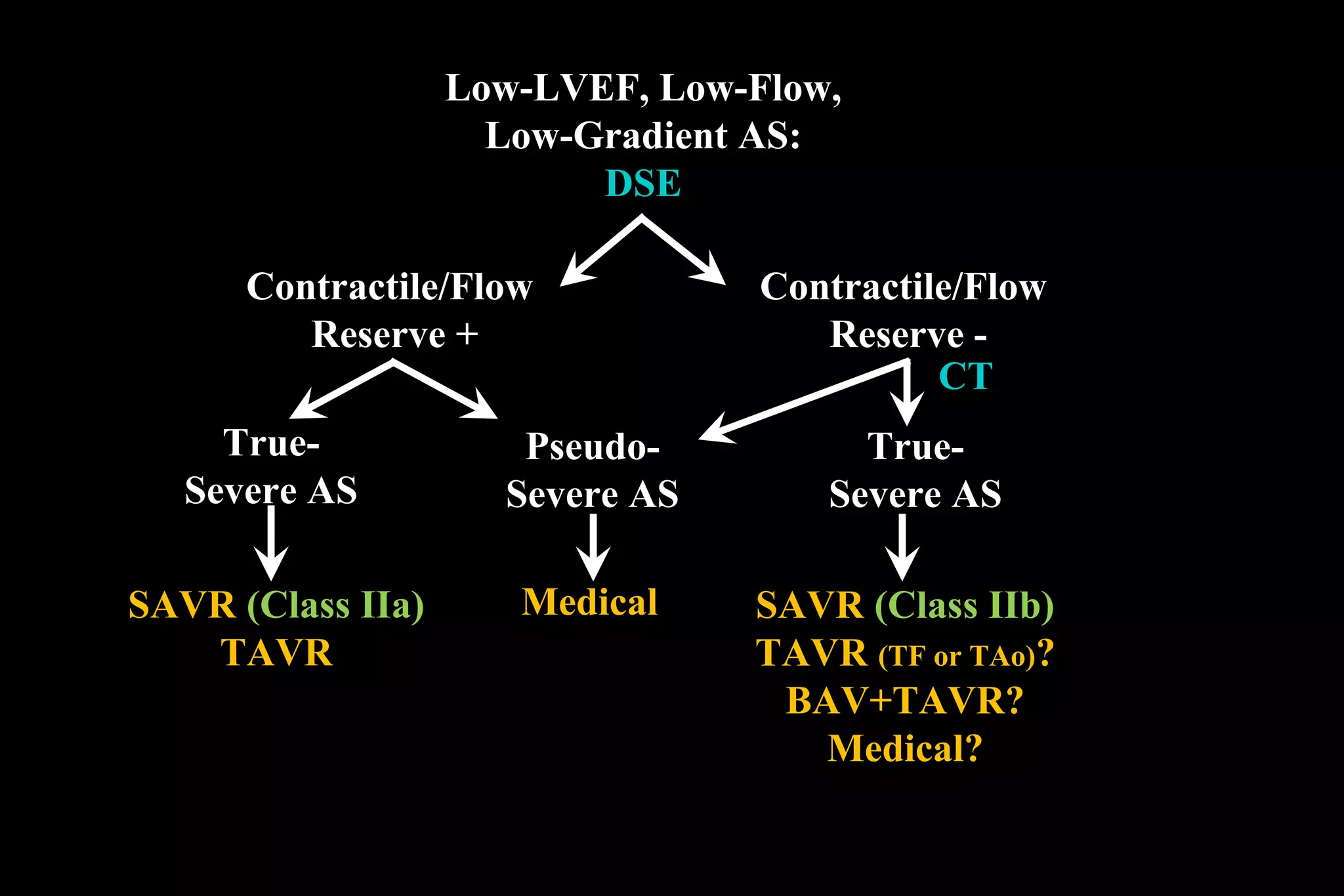 TAVR in a patient with LV dysfunction | PDF