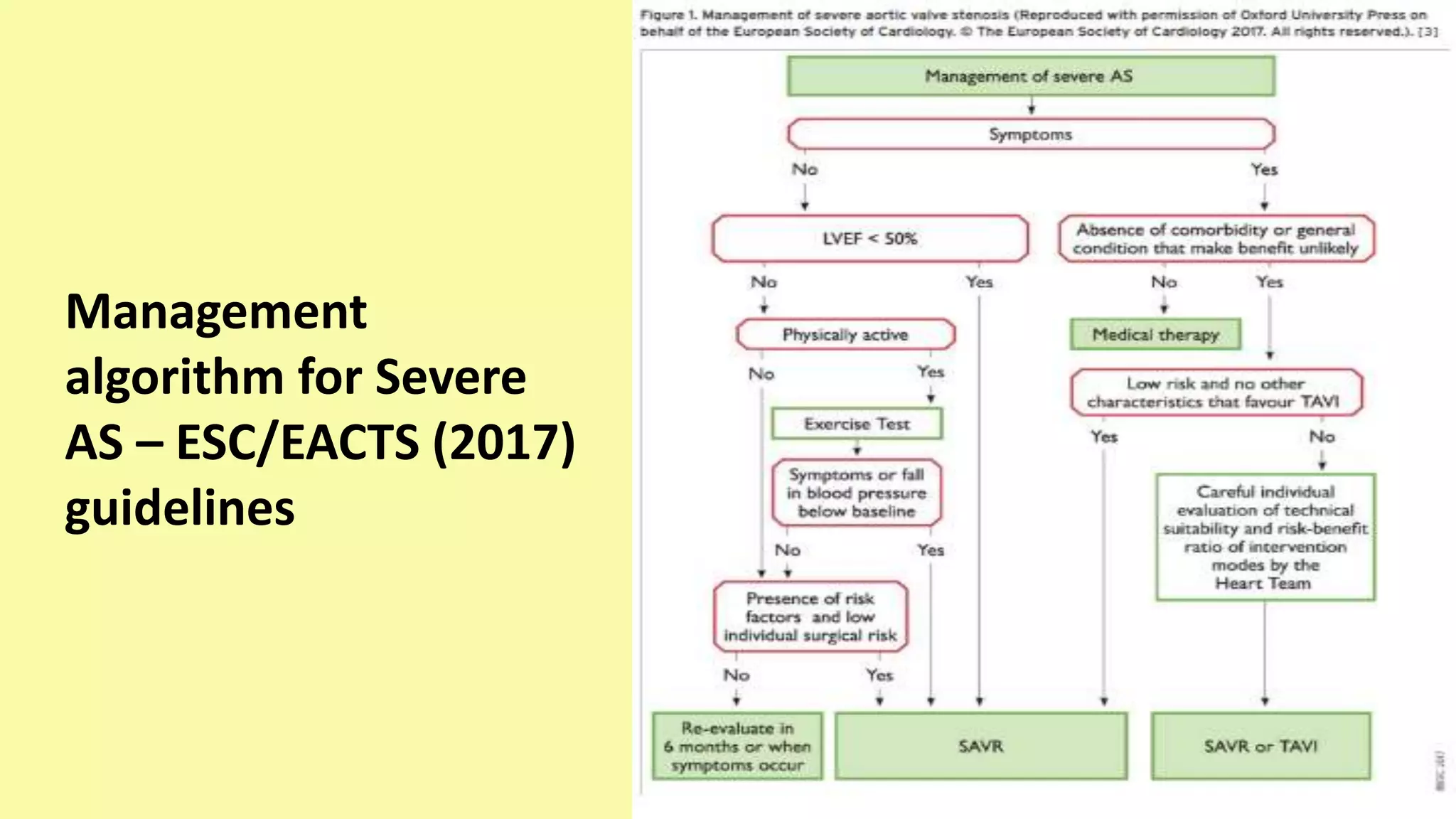 TAVI - Transcatheter Aortic Valve Implantation | PPTX