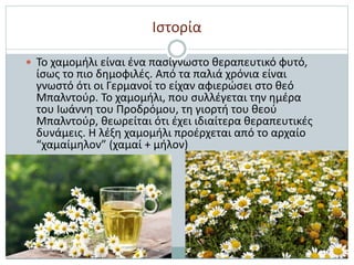 Χαμομήλι | PPT