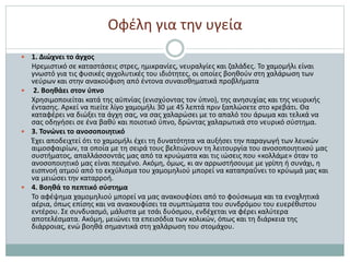 Χαμομήλι | PPT