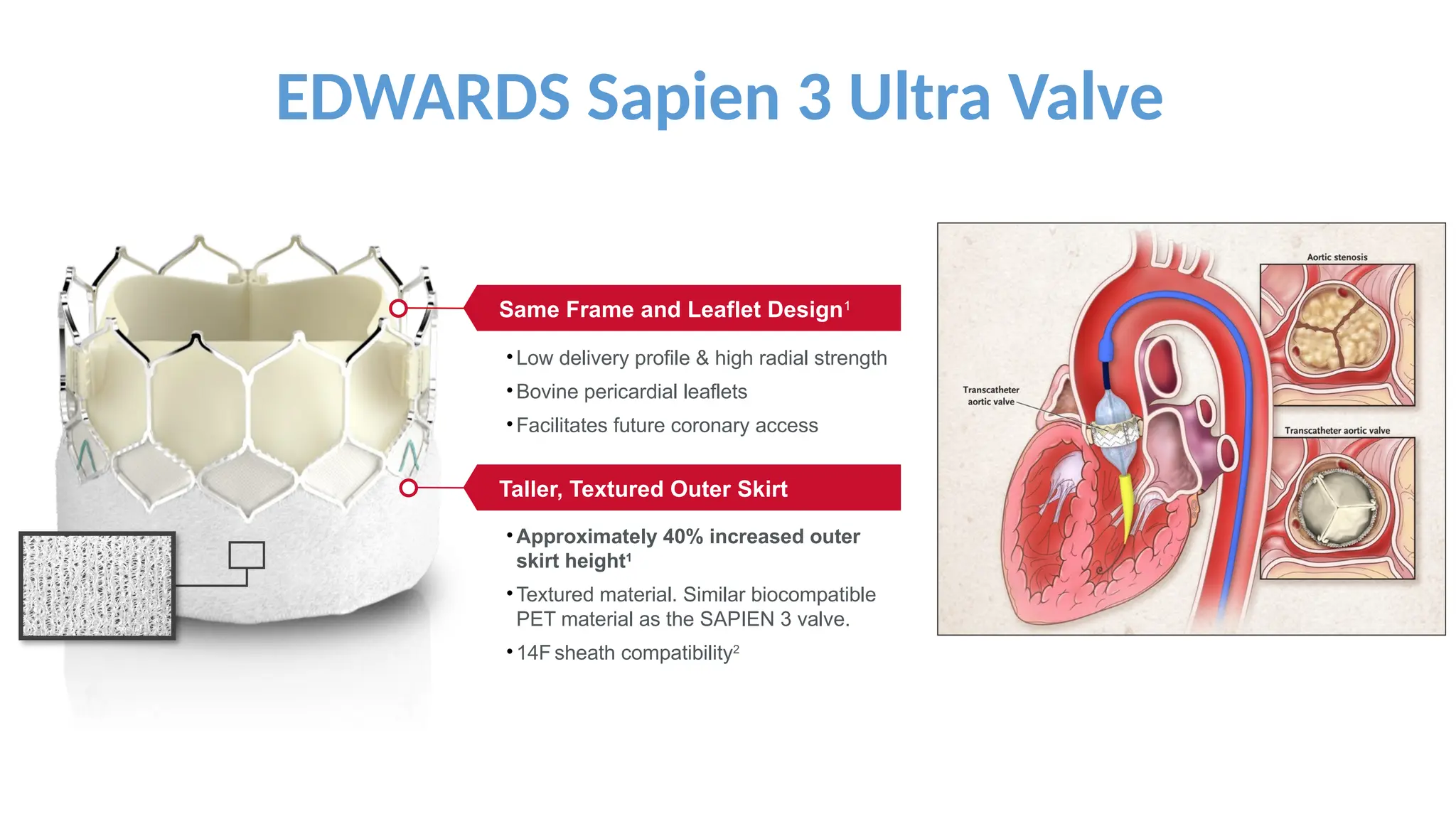 TAVR Education Basics For The Cardiologists | PPTX